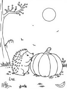 30 Adorable Hedgehog Coloring Pages for Creative Fun